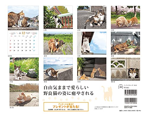 そとねこ (インプレスカレンダー2022)