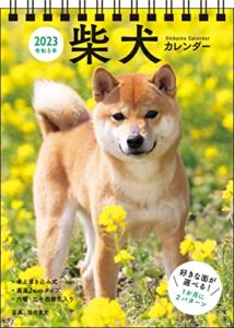 2023 柴犬カレンダー 卓上書き込み式 [b6タテ] 【s3】 (永岡書店のカレンダー)