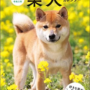 2023 柴犬カレンダー 卓上書き込み式 [B6タテ] 【S3】 (永岡書店のカレンダー)