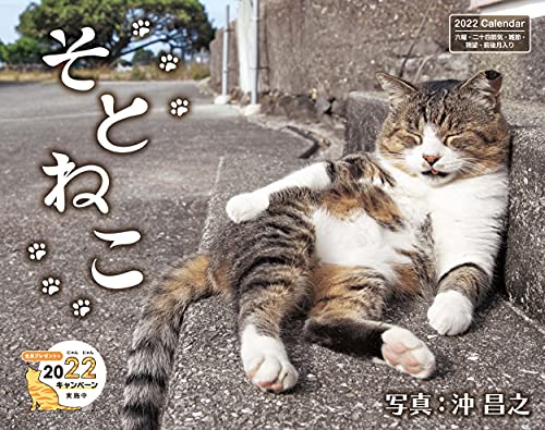 そとねこ (インプレスカレンダー2022)