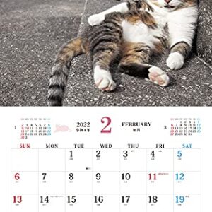 そとねこ (インプレスカレンダー2022)