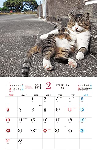 そとねこ (インプレスカレンダー2022)