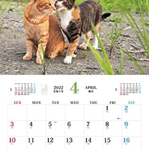 そとねこ (インプレスカレンダー2022)