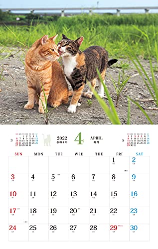 そとねこ (インプレスカレンダー2022)