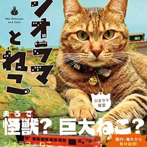 ジオラマとねこ