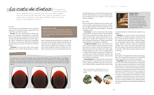 La cata de vinos: Guía completa para conocer y degustar los vinos (Edición actua lizada) 2021 / Wine Tasting (Spanish Edition)