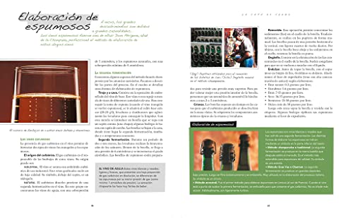 La cata de vinos: Guía completa para conocer y degustar los vinos (Edición actua lizada) 2021 / Wine Tasting (Spanish Edition)