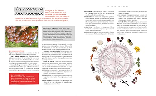 La cata de vinos: Guía completa para conocer y degustar los vinos (Edición actua lizada) 2021 / Wine Tasting (Spanish Edition)