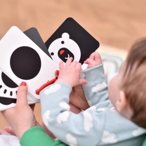 Banana Panda High Contrast Baby Flash Cards - 10 Large Black and White Double-Sided Cards - Specially Designed to Promote Visual Stimulation and Sensory Development in Infants Ages 0-3 Months