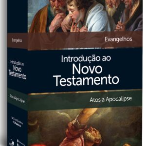 Box Introdução Ao Novo Testamento - Craig L. Blomberg Evangelhos, Atos A Apocalipse