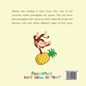 Pineapples Don't Grow On Trees!: How and Where Fruit Grows (How and Where Food Grows)