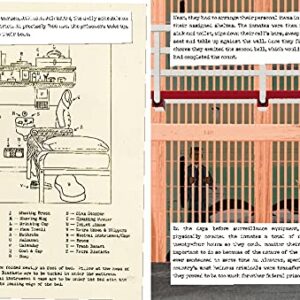 Unsolved Case Files: Jailbreak at Alcatraz: Frank Morris & the Anglin Brothers' Great Escape (Unsolved Case Files, 2)