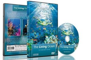 underwater dvd- the living ocean - relaxing scenes of the underwater world