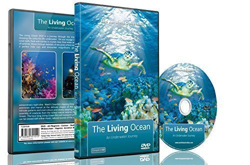 Underwater DVD- The Living Ocean - Relaxing Scenes of the Underwater World