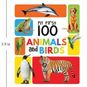 My First 100 Library: Boxset of 5 Early Learning Board Books