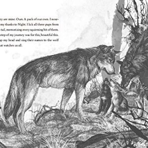 A Wolf Called Wander (A Voice of the Wilderness Novel)