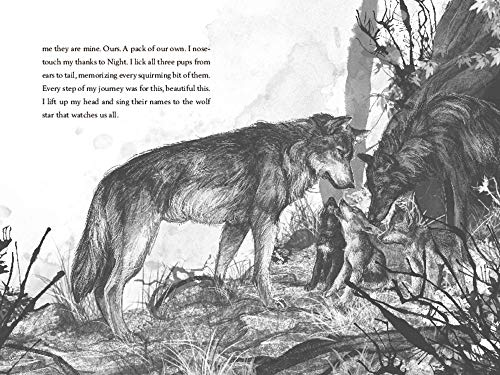 A Wolf Called Wander (A Voice of the Wilderness Novel)