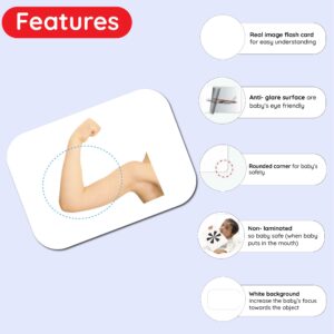 My First Body Parts Flash Cards for Toddlers - 24 Cards - 48 Sides, Montessori, Educational, Kindergarten, Preschool Learning Activities, Gifts for Kids, 1-4 Years babies, Fun & Educational Flashcards