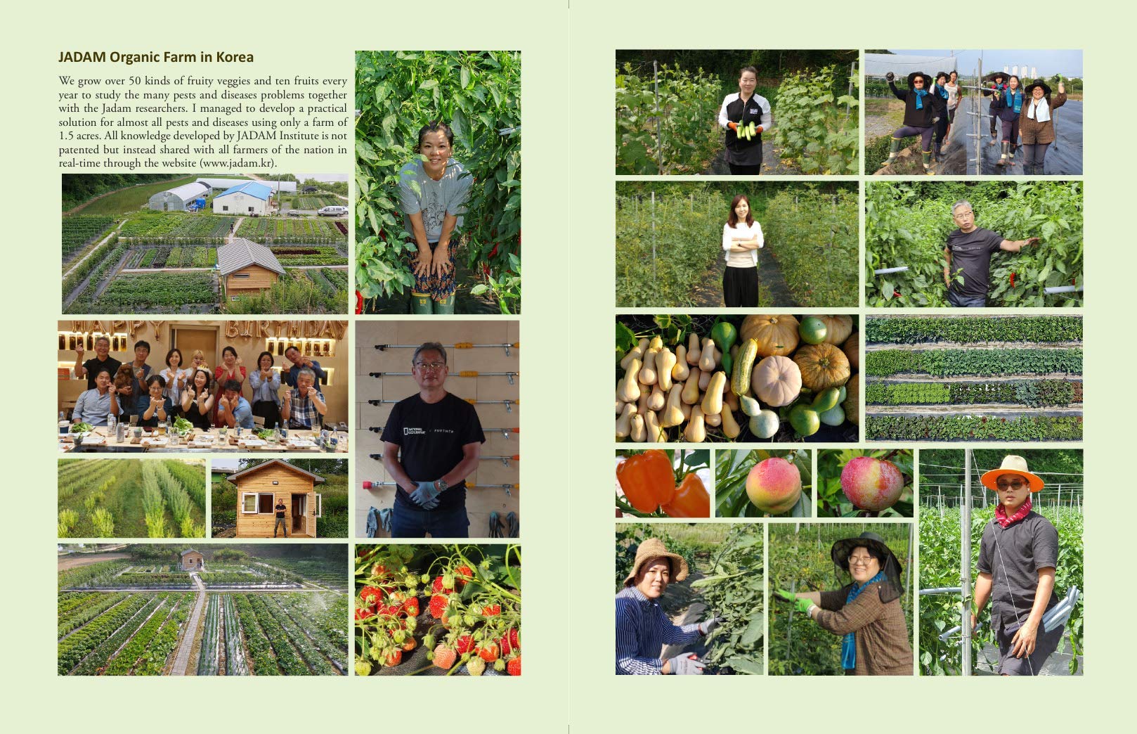 JADAM Organic Farming (Second Edition) : Innovative organic farming technology established in Korea. No-till, Weed free, and High-Yield, Ultra-Low-Cost cultivation technologies that can dramatically help reduce the labor force. Make your own All - Powerfu