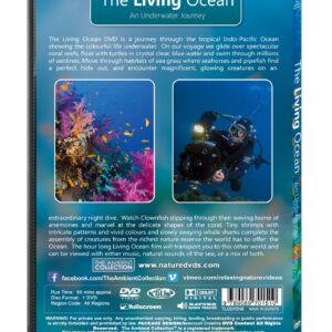 Underwater DVD- The Living Ocean - Relaxing Scenes of the Underwater World