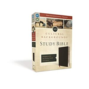 NIV, Cultural Backgrounds Study Bible (Context Changes Everything), Bonded Leather, Black, Red Letter: Bringing to Life the Ancient World of Scripture