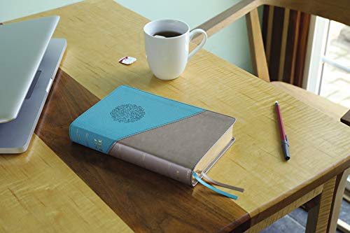 NIV, Personal Size Bible, Large Print, Leathersoft, Teal/Gold, Red Letter, Comfort Print