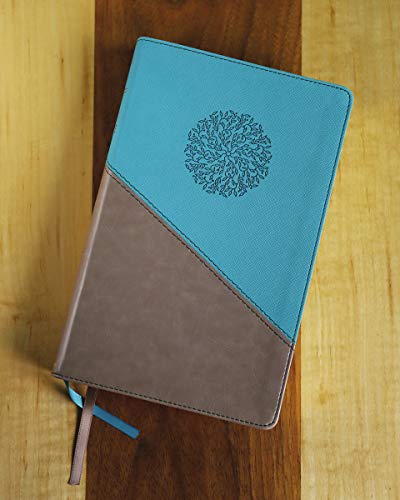 NIV, Personal Size Bible, Large Print, Leathersoft, Teal/Gold, Red Letter, Comfort Print