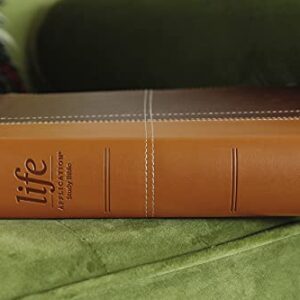 NIV, Life Application Study Bible, Third Edition, Leathersoft, Brown, Red Letter, Thumb Indexed