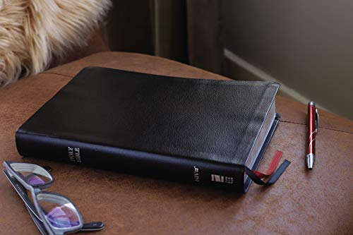 NIV, Thinline Bible, Giant Print, Bonded Leather, Black, Red Letter, Comfort Print