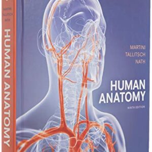 Human Anatomy