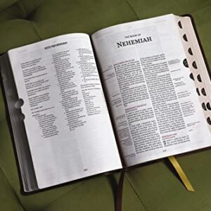 KJV, Thompson Chain-Reference Bible, Large Print, Leathersoft, Brown, Red Letter, Thumb Indexed, Comfort Print