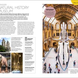 DK Eyewitness London (Travel Guide)