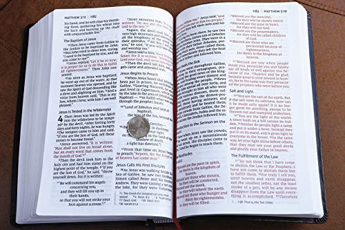 NIV, Thinline Bible, Giant Print, Bonded Leather, Black, Red Letter, Comfort Print