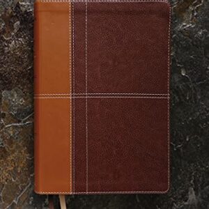 NIV, Life Application Study Bible, Third Edition, Leathersoft, Brown, Red Letter, Thumb Indexed