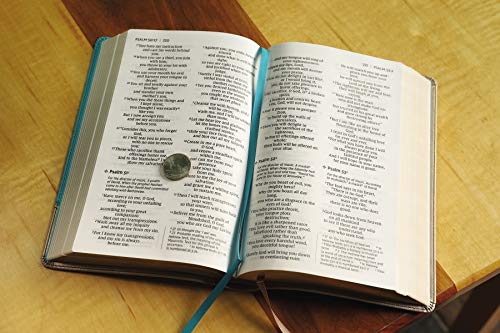 NIV, Personal Size Bible, Large Print, Leathersoft, Teal/Gold, Red Letter, Comfort Print