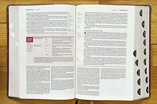 NIV, Life Application Study Bible, Third Edition, Leathersoft, Brown, Red Letter, Thumb Indexed