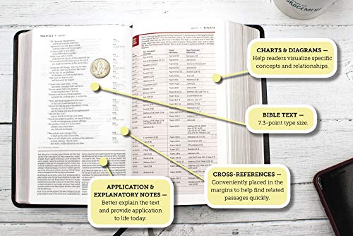 NIV, Life Application Study Bible, Third Edition, Personal Size, Leathersoft, Brown, Red Letter