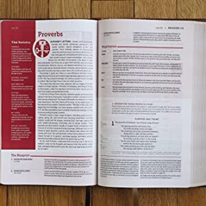 NIV, Life Application Study Bible, Third Edition, Personal Size, Leathersoft, Brown, Red Letter