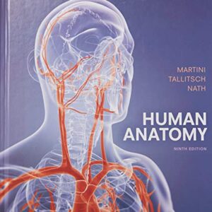 Human Anatomy