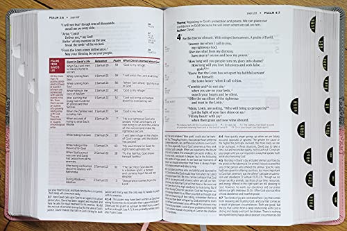 NIV, Life Application Study Bible, Third Edition, Large Print, Leathersoft, Gray/Pink, Red Letter, Thumb Indexed