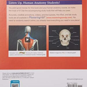 Human Anatomy