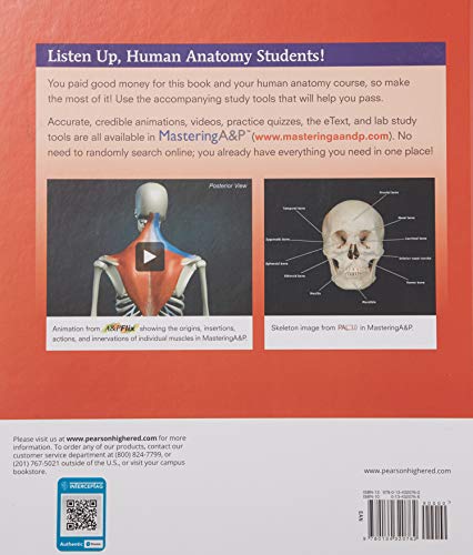 Human Anatomy