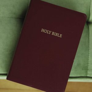 NIV, Reference Bible, Giant Print, Leather-Look, Burgundy, Red Letter, Comfort Print