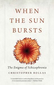 when the sun bursts: the enigma of schizophrenia