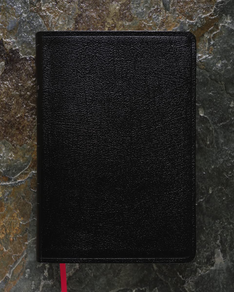 NIV, Cultural Backgrounds Study Bible (Context Changes Everything), Bonded Leather, Black, Red Letter: Bringing to Life the Ancient World of Scripture