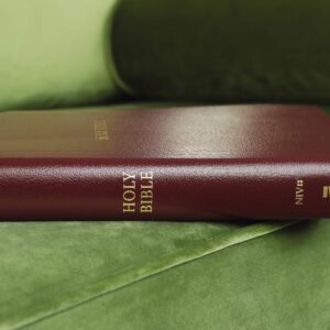 NIV, Reference Bible, Giant Print, Leather-Look, Burgundy, Red Letter, Comfort Print