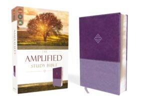 the amplified study bible, leathersoft, purple