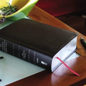 NIV, Cultural Backgrounds Study Bible (Context Changes Everything), Bonded Leather, Black, Red Letter: Bringing to Life the Ancient World of Scripture