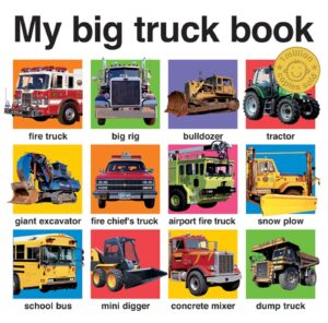 my big truck book (my big board books)