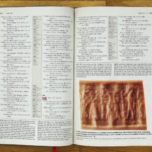 NIV, Cultural Backgrounds Study Bible (Context Changes Everything), Bonded Leather, Black, Red Letter: Bringing to Life the Ancient World of Scripture